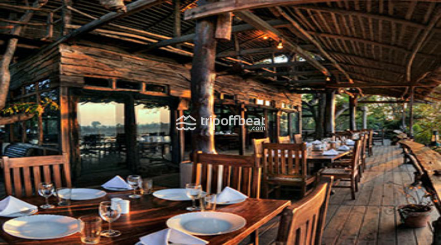 Ken River Lodge (Madhya Pradesh)- Reviews, Photos & Book | TripOffBeat