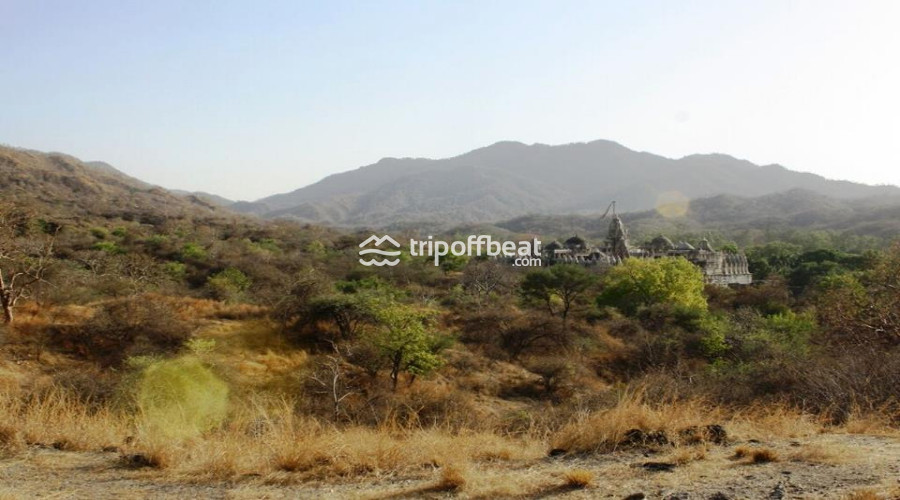 Mana Resort, Ranakpur(Rajasthan)- Reviews, Photos & Book | TripOffBeat