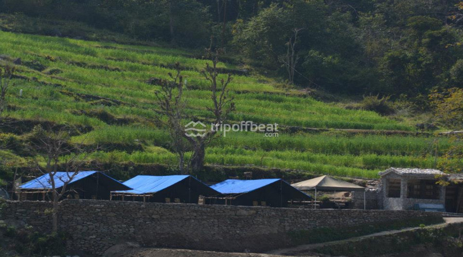 Pancheshwar Fishing Retreat (Uttrakhand)- Reviews, Photos & Book ...