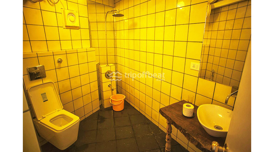 Seclude Mussoorie- Reviews, Photos & Book | TripOffBeat